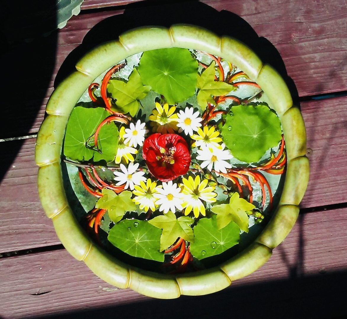 Create a Floating Mandala | Education | Asian Art Museum